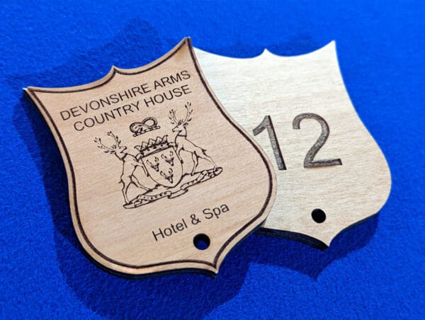 BME Laser Techniques